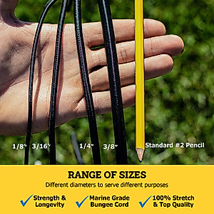 SGT KNOTS Marine Grade Bungee Cord - 100% Elastic Cord, Dacron Polyester Bungee Shock Cord for DIY, Tie Downs, Commercial Uses | 1/4" x 25 ft, Black