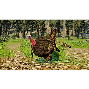 Cabela's North American Adventures 2011 - Playstation 3 (Renewed)