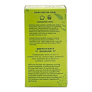 Worldwide Botanicals Organic French Chicory Root Tea – 50% more herbs with 3g per tea bag – Prebiotic Roasted Herbal Tea – Acid Free, Caffeine Free, Kosher, 25 tea bags