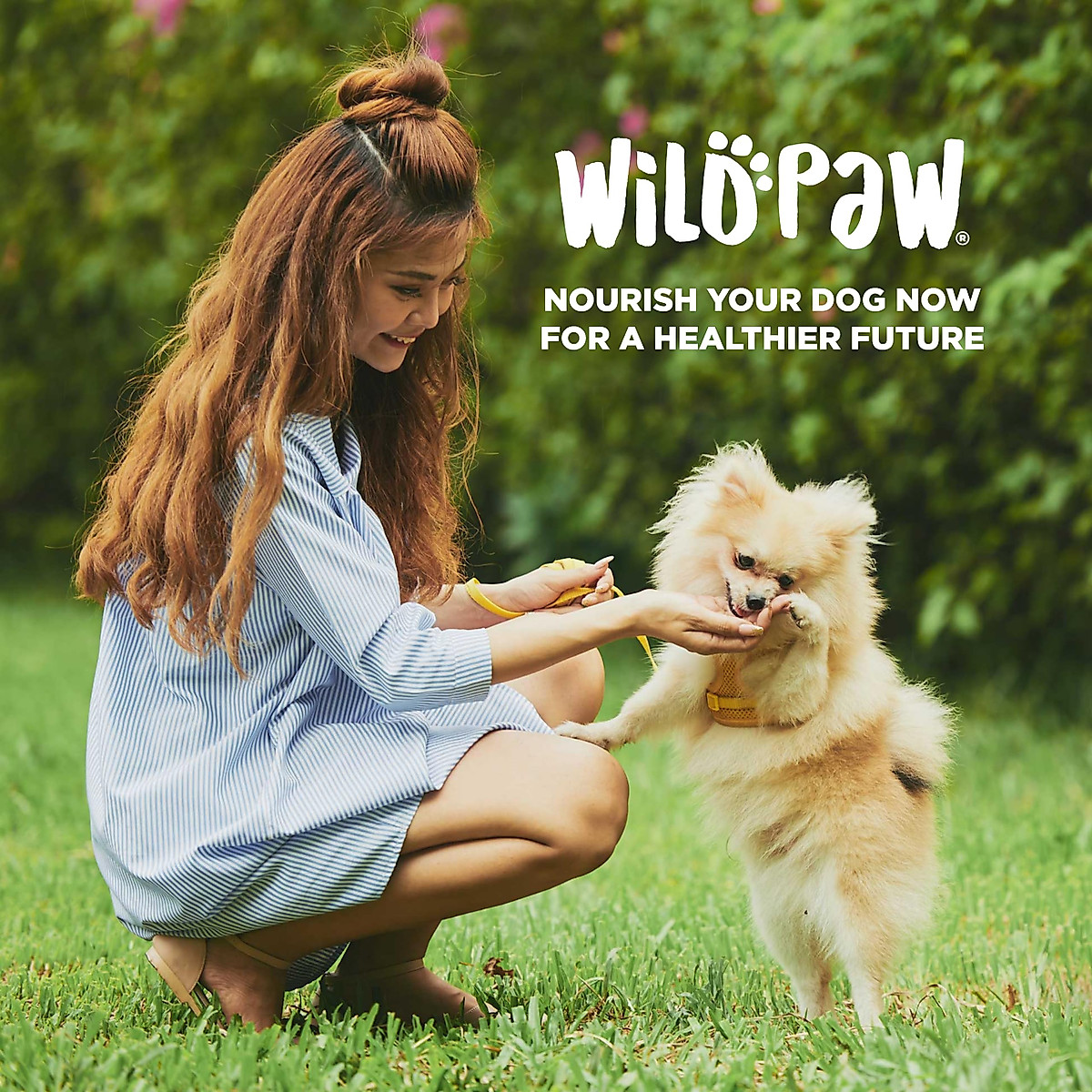 Wildpaw WonderBites for Fast Allergy Relief - Pet Supplement to Support Itchy Skin & Allergy Relief - Dog Skin & Coat Health Supplement - 90 Soft Chews