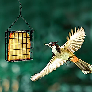 Shitailu 2Pcs Suet Bird Feeders, Outdoor Garden Cages, Suet Feeder for Outside Hanging, Wild Bird Feeder, Single Suet Cake Bird Feeders, One Suet Capacity