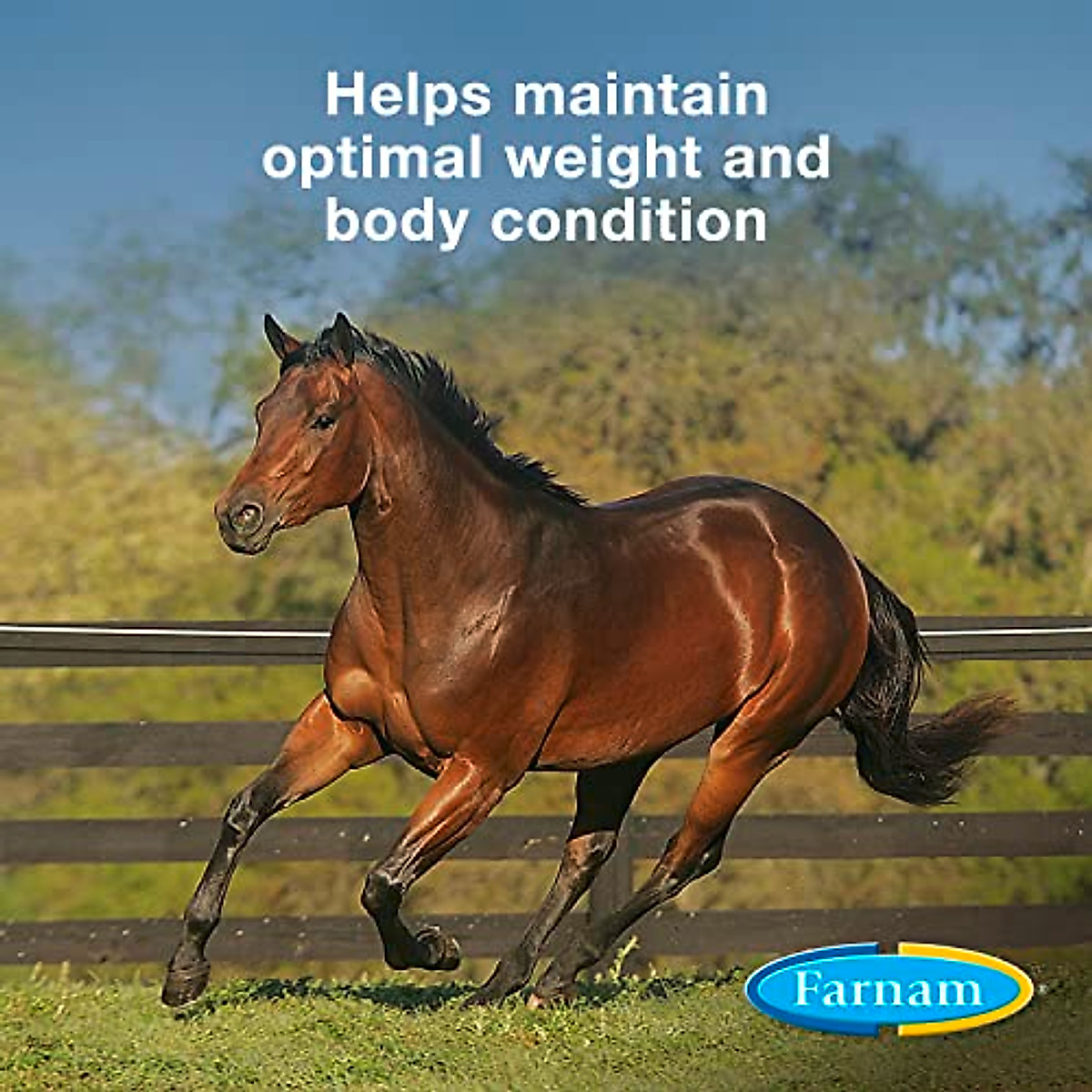 Farnam Weight Builder Horse Weight Supplement, Helps Maintain Optimal Weight and Body Condition with no Sugar Added, 7.5 pounds, 30 Day Supply