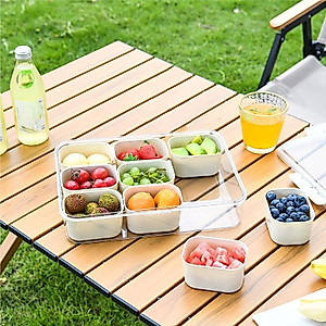 HINIHAO Divided Serving Tray with Lid and Handle, Removable Divided Platter Food Storage Containers with 9 Compartment, Small Boxes for Onion, Ginger, Garlic, Cherry