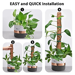 Moss Pole - 26.4 Inch Moss Pole for Plants Monstera, 2 Pack 15.7 Inches Coco Plant Pole for Climbing Indoor Potted Plants, Train Monstera Philodendron Pothos Creeper Plants Grow
