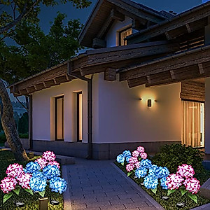 Solar Flower Lights-2 Pack Waterproof Solar Garden Flower Lights with Solar Hydrangea Stake, Solar Decorative Lights for Patio, Courtyard, Garden Lawn (Blue & Rose Red)