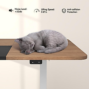 Tangkula 55 x 28 Inch Large Electric Standing Desk, Height Adjustable Sit to Stand Desk with Powerful Motor & Anti-Collision Design, Ergonomic Stand Up Workstation with Metal Frame, Home Office Desk