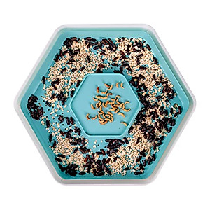 Green Tea Bottles Stick for Face HHA478