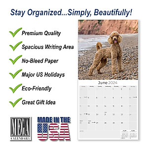 2023 2024 Poodle Calendar - Dog Breed Monthly Wall Calendar - 12 x 24 Open - Thick No-Bleed Paper - Giftable - Academic Teacher's Planner Calendar Organizing & Planning - Made in USA