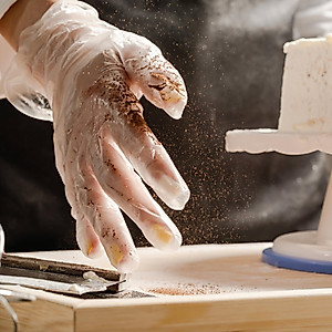 JENCENBIO Compostable Disposable Gloves for Food Pre with US BPI ASTM D6400 and Europe OK Compost Home Certified 100 Couts