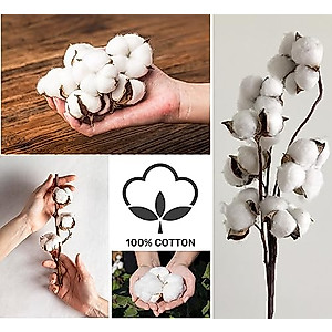 Baby Tank Tops Boys, Girls, Unisex Sleeveless 100% Cotton Shirts for 0-24 Months(Medium, Neutral/White/6-Pack/For Unisex)