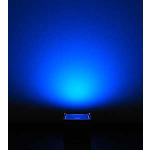 CHAUVET DJ 100% True Wireless, Battery-Operated Cyclorama Light (Freedom Cyc)