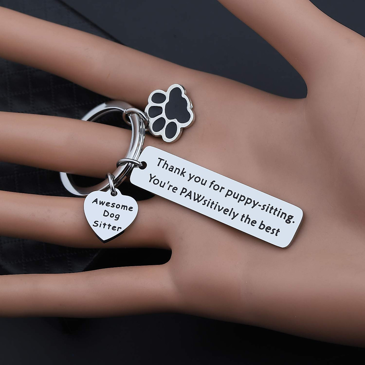 Lywjyb Birdgot Dog Walker Gift Dog Sitter Thank You Gift Dog Sitter Keychain