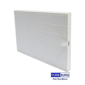 PUREBURG C545 Replacement True HEPA Filter Set Compatible with WINIX PlasmaWave P150 and B151, C545 Air Purifiers, Part Number Filter C / 113050, Filter S / 1712-0096-00,H13 Activated carbon