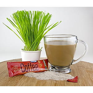 Bio Coffee- NEW! - First Organic Instant Non-dairy Alkaline Coffee (12 Sachet Box)