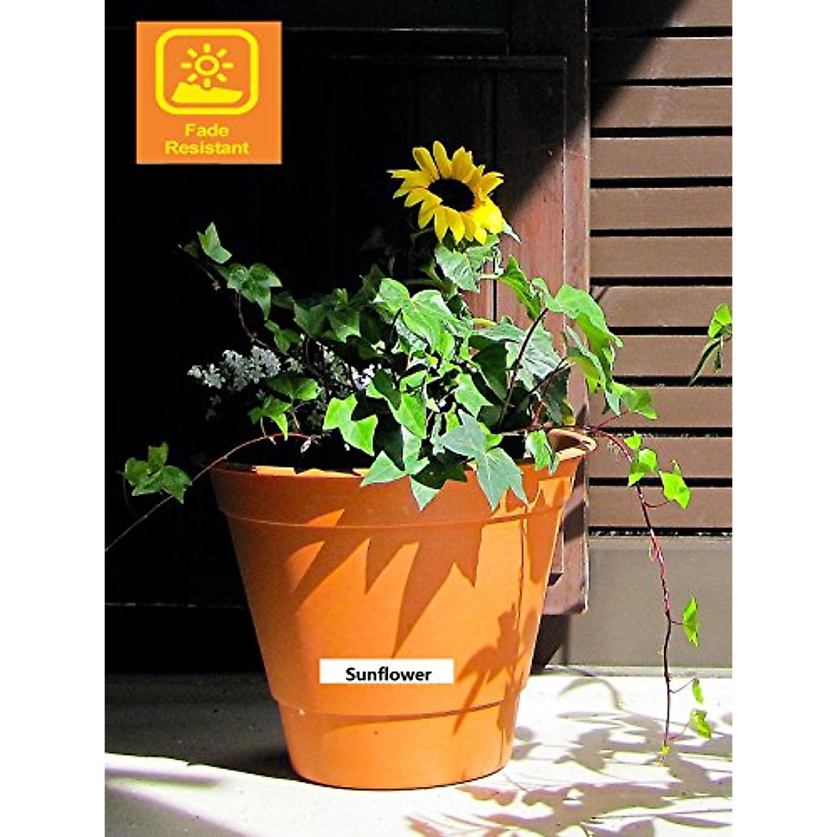 Oozmas Replacement for DYMO 160 Label Maker Refill Label Cassette 1/2 Inch Black on White D1 Label Tape 45013 S0720530 for LabelManager 280 160 360D 420P 450D Refill Cartridge, 3 Pack