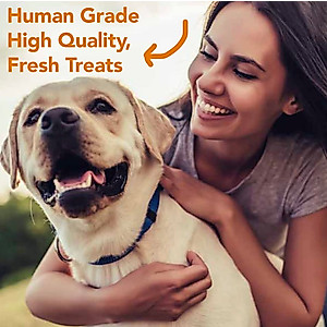 Marcy's Pet Kitchen- All Natural, Crunchy, Pumpkin Biscuit Dog Treats - Homemade - Crunchy Approved- Vegan, Gluten Free, Human Grade Ingredients, Made in The USA, Healthy Pumpkin Dog Treats