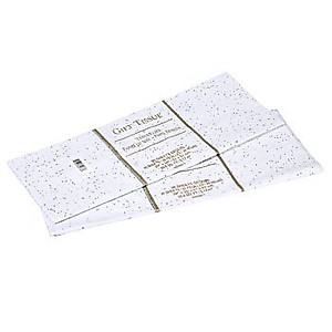 Gift Wrap Bag Tissue Paper White Foil Sequin Sparkle 20 Sheets 20 x 20 Inches