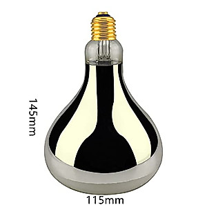 BONGBADA Heat Lamp Bulb R40 250 Watt 2 Pack Clear Infrared Glass Lamp Bulb for Food Service, Brooder Bulb, Chicks, Pet, Bathroom (Clear, R40/250W)