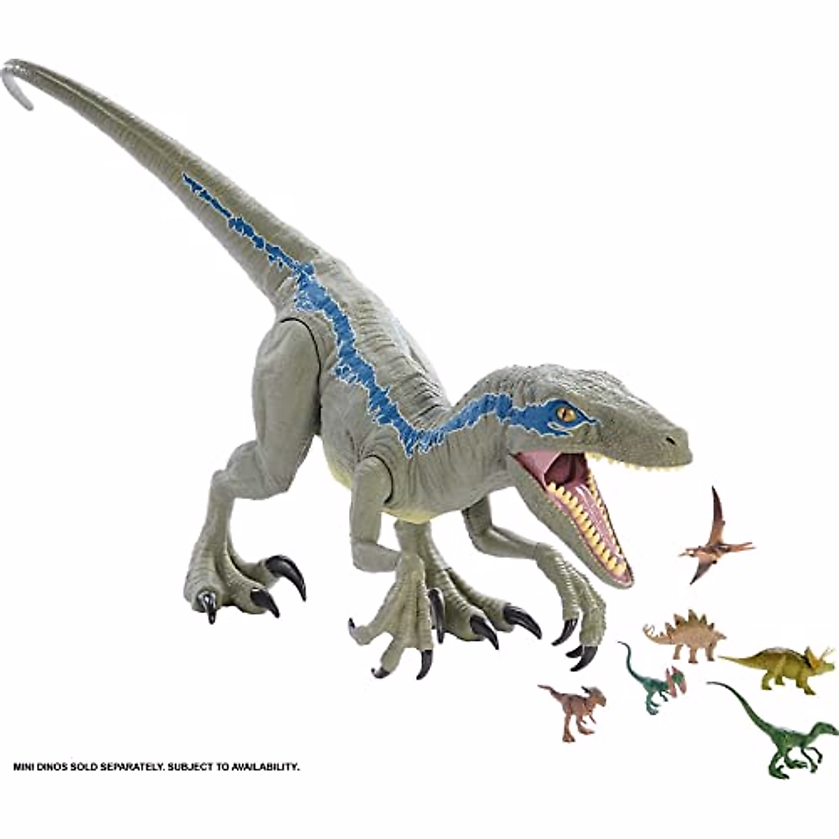 Mattel Jurassic World Super Colossal Velociraptor Blue Dinosaur Action Figure Toy, 3.5-ft Long with Eating Feature (Amazon Exclusive)
