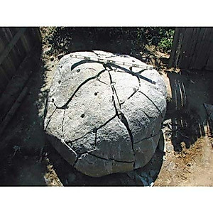 Dexpan Expansive Demolition Grout 44 Lb. Bucket for Rock Breaking, Concrete Cutting, Excavating. Alternative to Demolition Jack Hammer Breaker, Jackhammer, Concrete Saw, Rock Drill (DEXPAN44BKT3) (23F-50F)