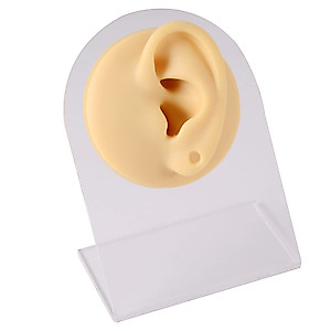 CHUANCI 1pc-2pcs Soft Silicone Fresh Color Flexible Model Ear Displays for Acupuncture Human Model Simulation for Ear Taper Ear Gauge Display Teaching Tool (One Pair Left+Right with Display)