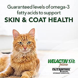 Nutramax Welactin Omega-3 Fish Oil Skin and Coat Health Supplement Liquid for Cats - 4 Ounce