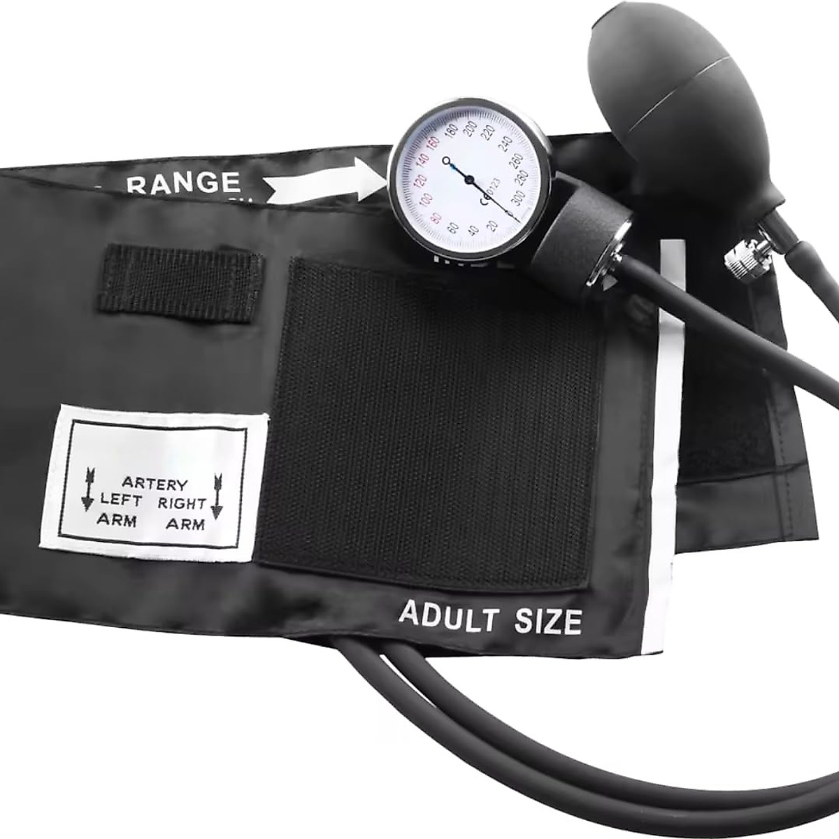 HEART SOUND SOLUTIONS Head to Toe Assessment Kit with Nursing School Essentials | Medical Assistant Accessories | Blood Pressure Cuff | Nursing and Medical Students | First Responders