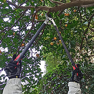 Lopper Hedge Shear & Pruner Combo Set, YRTSH 3-Piece Gardening Tool, Heavy Duty Tree & Shrub Care Kit for Yard, Garden & Lawn, Professional Hedge Clippers Tree Trimmer for Indoor & Outdoor Gardening