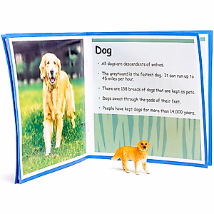 Stages Play Builder: Pets Plastic Animal Figures/Pet Animal Figurines Toys and Fun Facts Book from The Makers of Language Builder, Multi