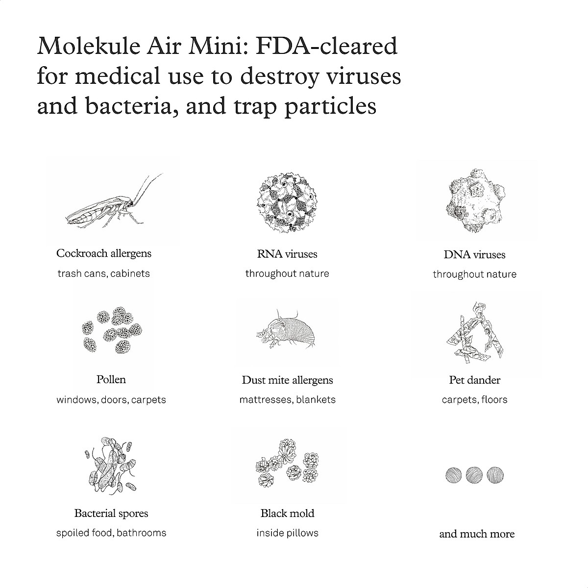 Molekule Air Mini & Air Mini+ – PECO-Filter,
