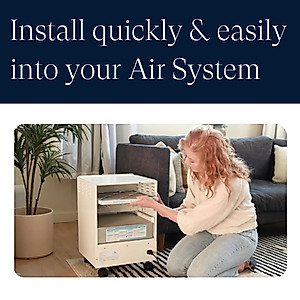 EnviroKlenz Replacement Air Cartridge For Air Purifiers | Replace Every 6 Months for Maximum Results | Compatible with all Enviroklenz Air System Purifiers for Peak Performance