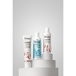 OUIDAD Moisture Lock Leave-in Conditioner, 8.5 Fl Oz