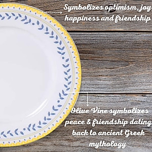 Braque Ceramic Lunch Salad Plates Set of 6, 8 inch Dish Set-Dessert, Appetizer, Pasta, Small Dinner Serving Plate-Microwave, Oven & Dishwasher Safe, Scratch Resistant-Kitchen Porcelain Dish-Olive Vine