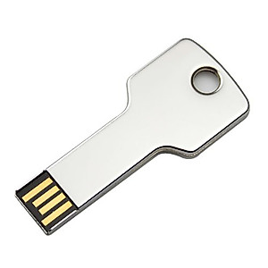 Lot 10 2GB Key Shape USB 2.0 Flash Drive 2G Metal Memory Pen Stick Thumb Drive Wholesale Bulk Pack (2GB, Silver (Stainless Steel))