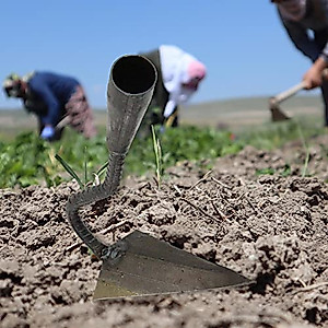 Hardened Garden Swoe Hoe Head Only Forging Process Durable Traditional for Backyard Planting Farming Gardening Loosening