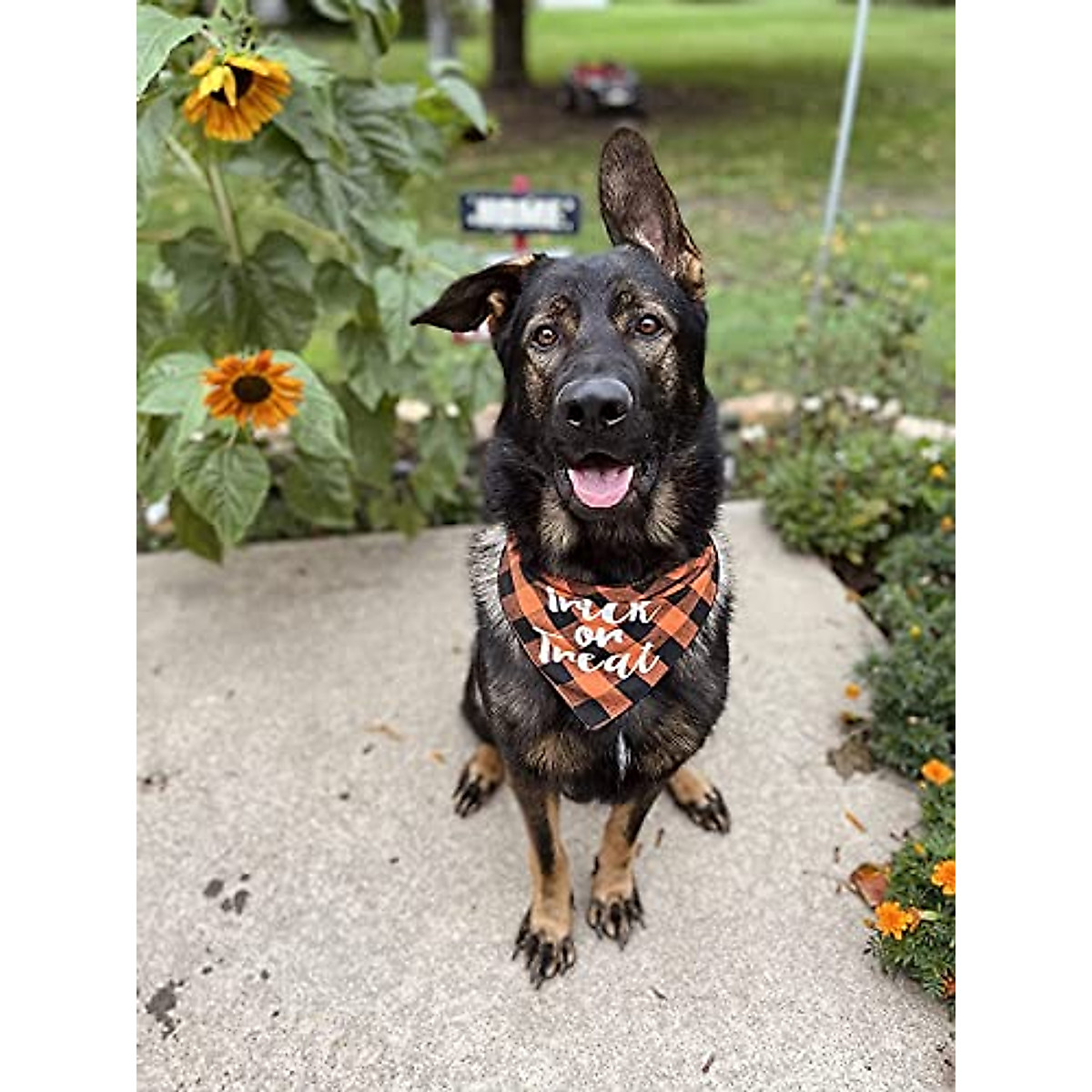 Halloween Dog Bandana -Orange Plaid Pet Scarf