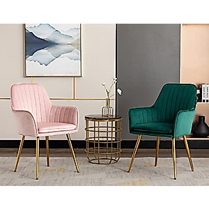 Artechworks Accent Living Dining Room Velvet Arm Chair Club Leisure Guest Lounge Bedroom Upholstered Chair with Gold Metal Legs, Pink