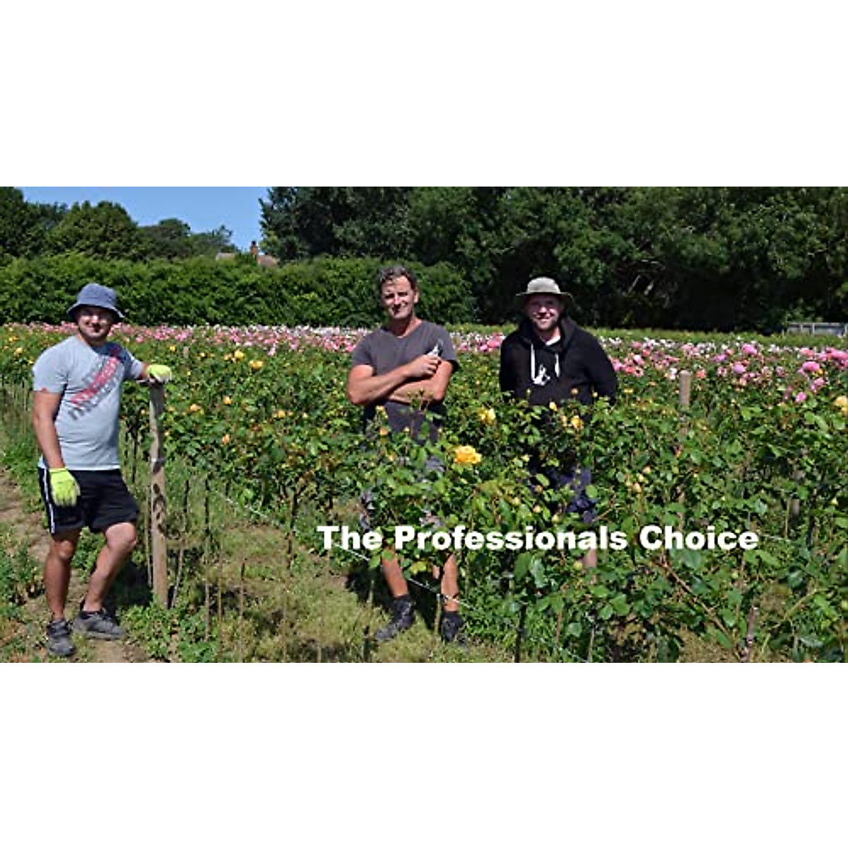 Biostretch Soft Plant Ties for Climbing Plants (Stretchy Green Garden Twine and Plant String - Olive Bio Roll X 1)