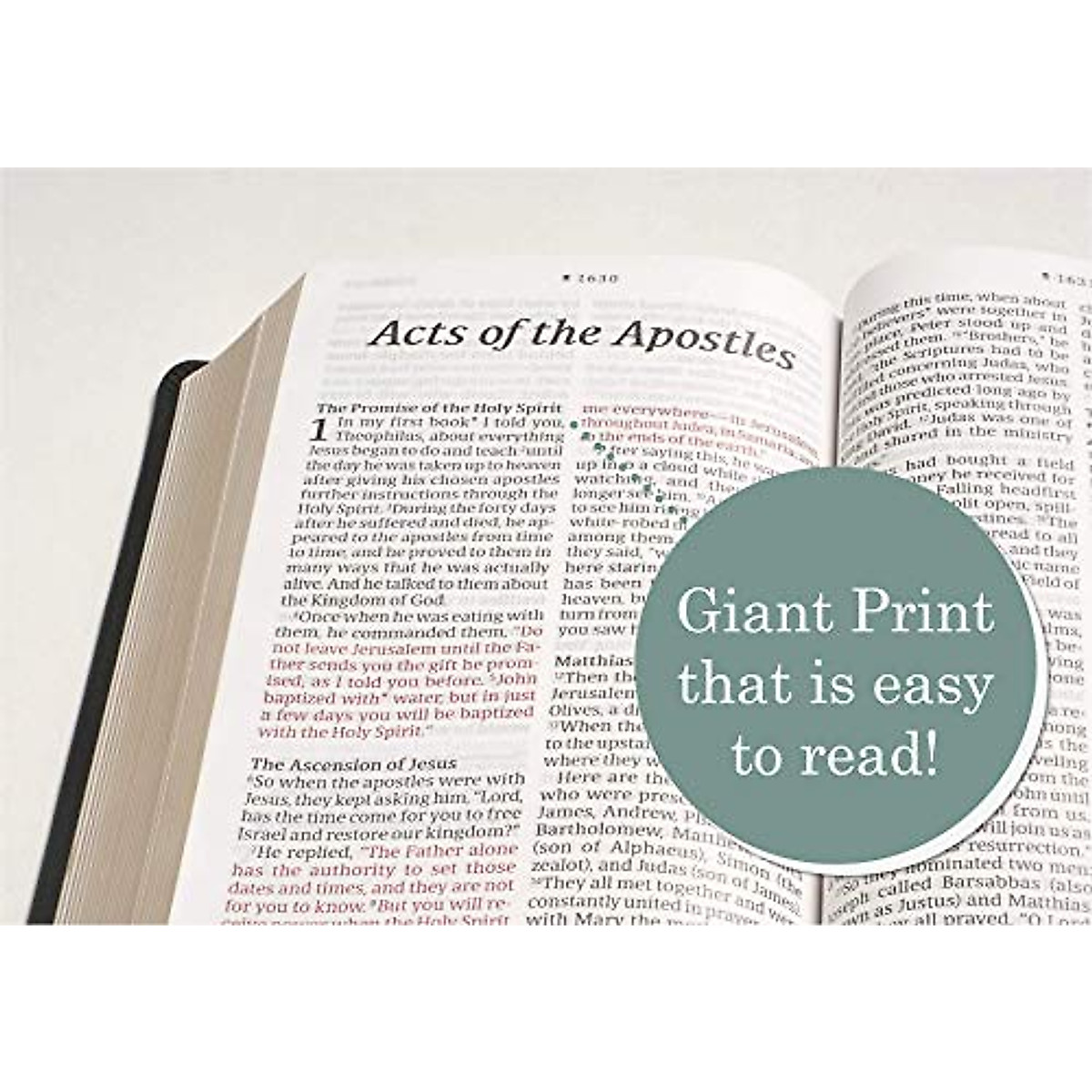 NLT Personal Size Giant Print Bible, Filament-Enabled Edition (LeatherLike, Black/Onyx, Indexed, Red Letter): Includes Free Access to the Filament ... Notes, Devotionals, Worship Music, and Video