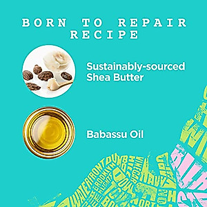 Carol's Daughter Born To Repair Nourishing Conditioner, Sulfate-Free Hair Care for Curly Hair with Shea Butter, 11 Fl Oz