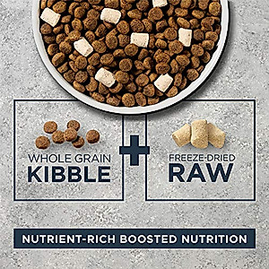 Instinct Raw Boost Puppy Whole Grain Real Chicken & Brown Rice Recipe Natural Dry Dog Food, 4.5 lb. Bag