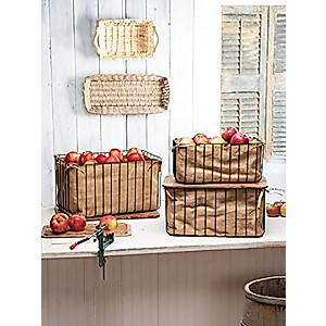 Gardener's Supply Company Stacked Root Storage Bins Set