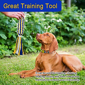 SYOOY Dog Rope Toys for Small and Medium Aggressive Chewers, Puppy Teething Toys, Dog Chew Rope Toys with Squeaky Sound, Interactive Dog Toy for Dog Tug of War and Pull, Dog Flirt Pole Replacement Toy
