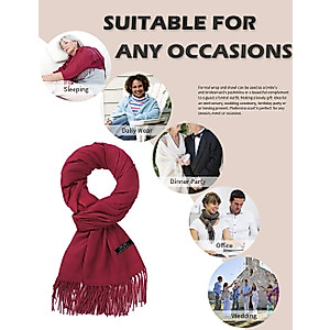EASE LEAP Pashmina Scarfs for Women Silky Shawls and Wraps for Evening Dresses Soft Large Scarves Wedding Warm Stylish Solid Color, Wine Red