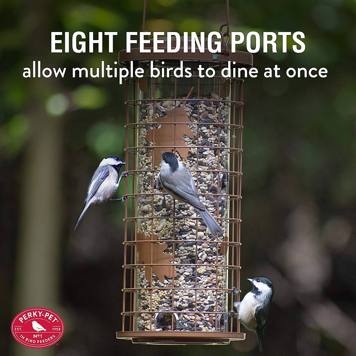 Perky-Pet 114B Squirrel Stumper Bird Feeder, Copper