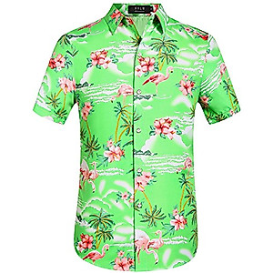 SSLR Mens Hawaiian Shirt Flamingos Casual Short Sleeve Button Down Shirts Aloha Shirt (X-Large, Light Green)