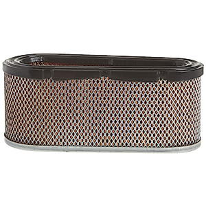 Briggs & Stratton Air Filter Cartridge/Pre-Cleaner 12.5 - 17 HP 5053K