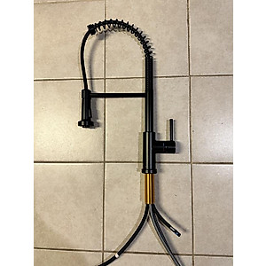 Glacier Bay Paulina Single-Handle Spring Neck Pull Down Sprayer Kitchen Faucet in Matte Black