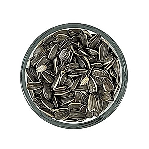 Executive Deals Grey Striped Sunflower Bird Seeds & Wildlife Feed - 5LBS (Double-Sealed)