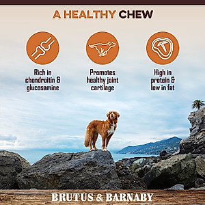 Gullet Sticks for Dogs, All Natural Single Ingredient Beef Jerky Chews, Healthy Beef Gullet Sticks, Naturally Occurring Glucosamine & Chondroitin, Can Help Joint Function for Puppies or Senior Dogs